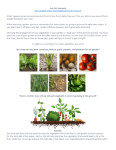 Activity Kit - May - Sun for Everyone - Gammelgården Museum